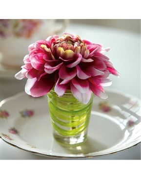 October | Flower of the Month | Bloom UK