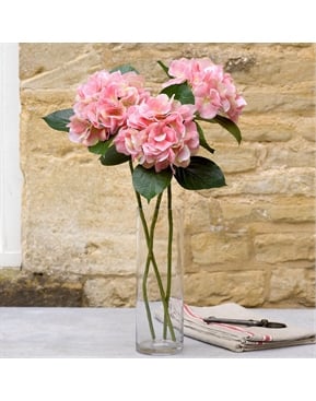 Pink Hydrangea Stem | Bloom UK