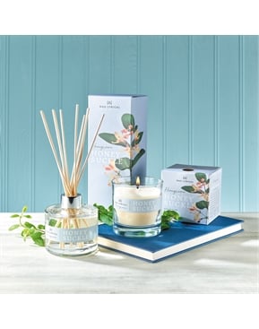 Honeysuckle Reed Diffuser | Bloom UK